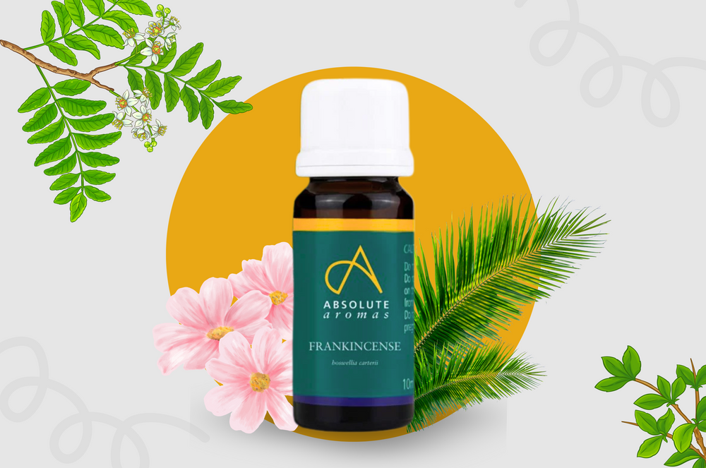 Absolute Aromas – Page 6 – Health & More Ltd